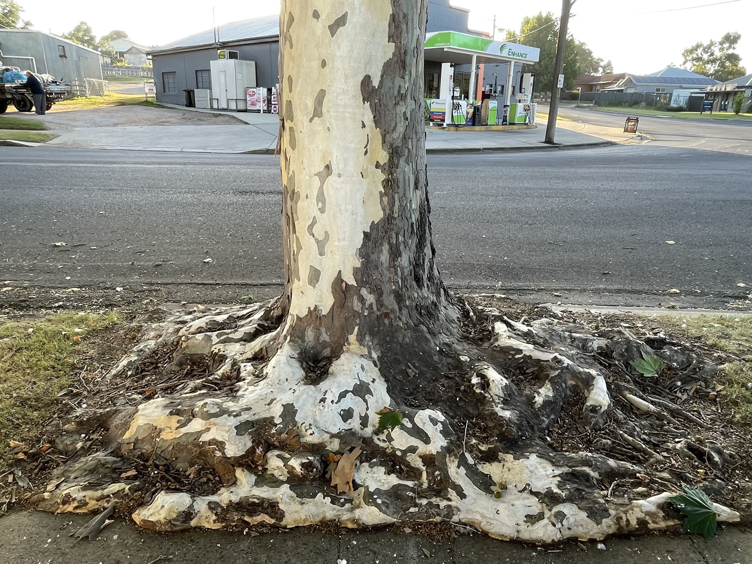 Compaction - Landscape Contractor