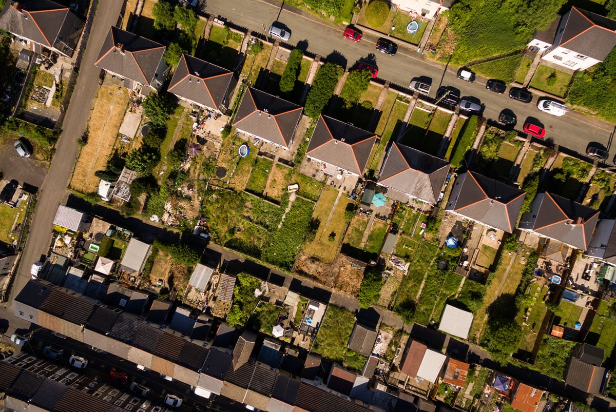 Cultivating urban spaces - Landscape Contractor