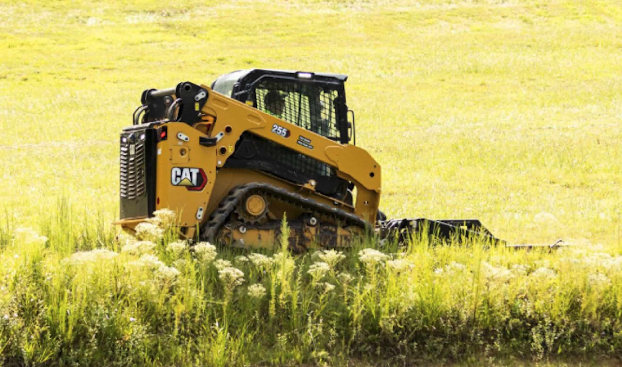Cat plans a major reveal at DD&T! - Landscape Contractor
