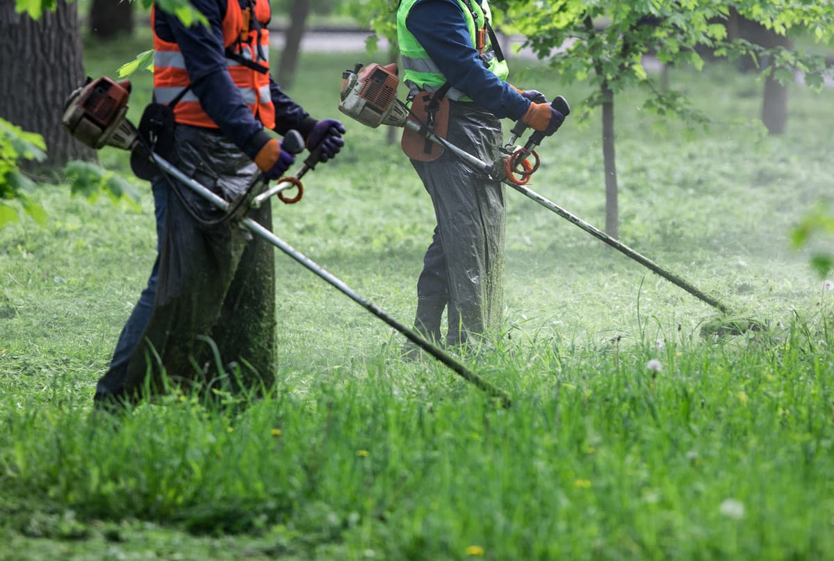 Five tips for hiring staff this summer - Landscape Contractor